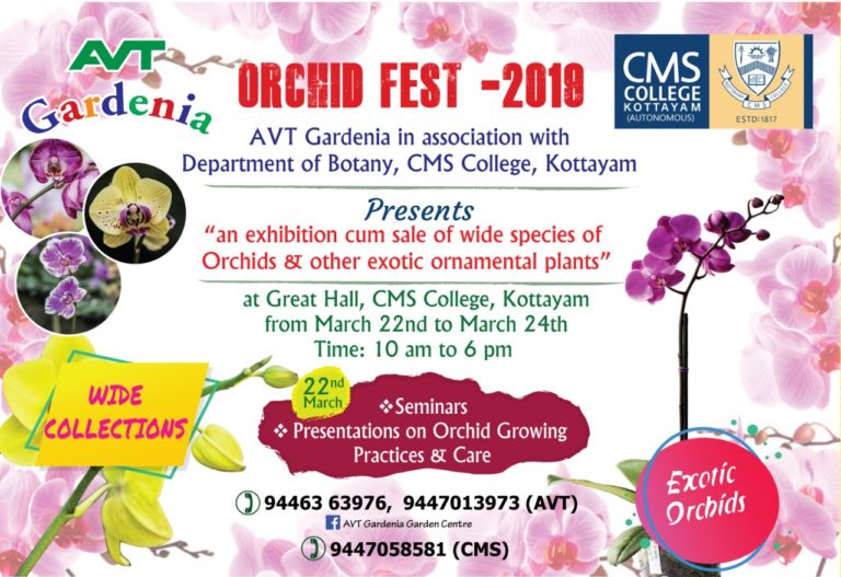 Buy Exotic Orchids Online Kochi | Online Orchid sales in Kochi